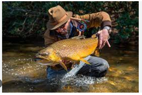 The Five Stages of Fly Fishing – Kylebooker